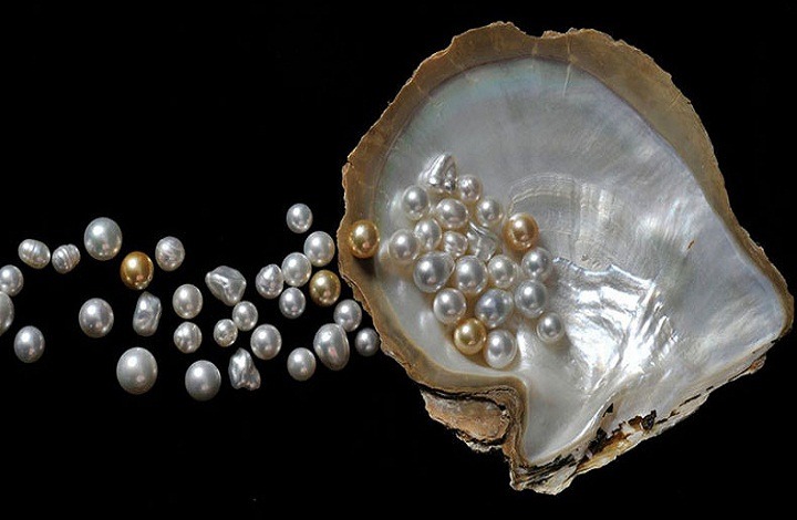 Natural Burmese Pearl Gemstone[WHITE]